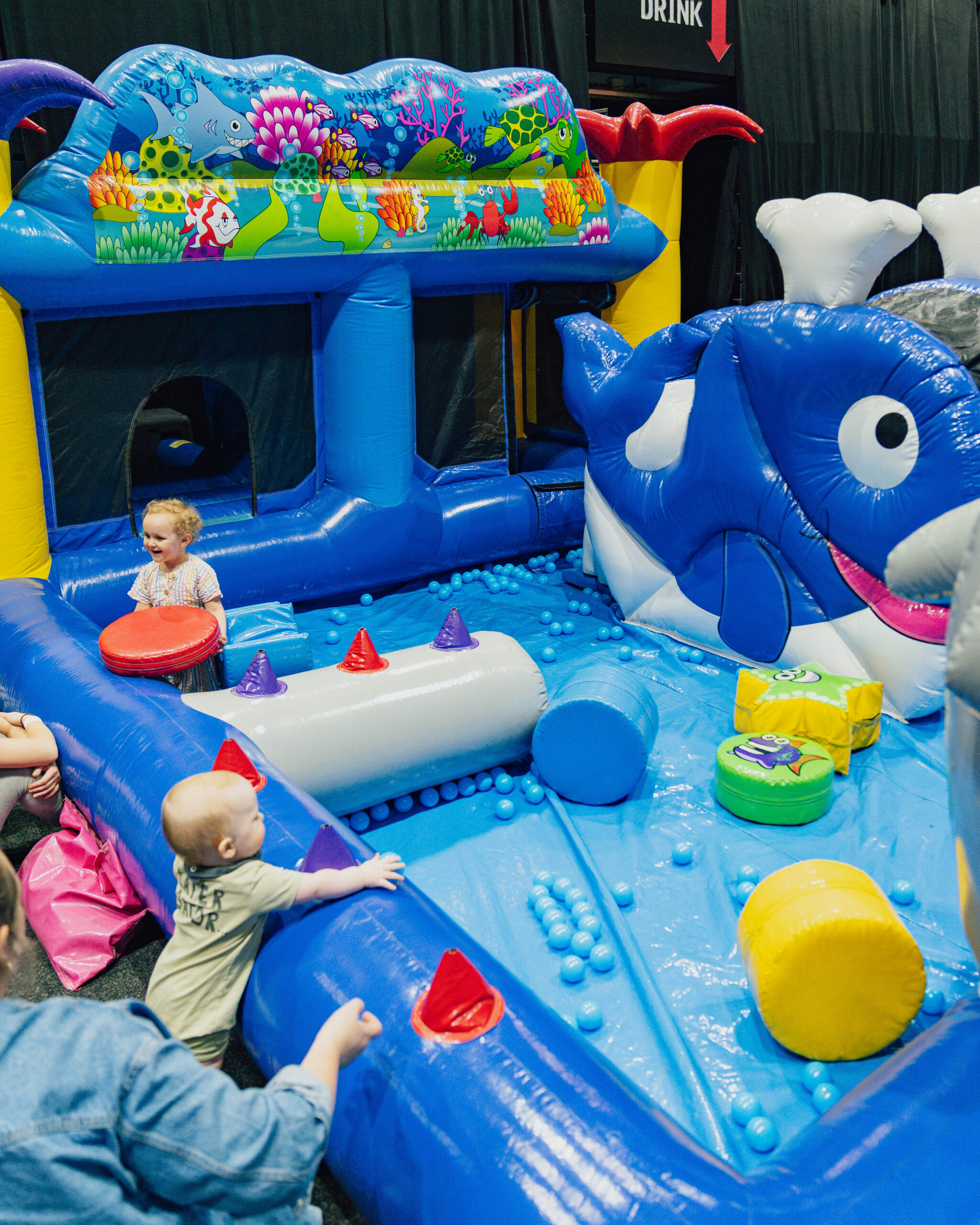 Inflatable Fun Day - Metrodome Lesiure Complex